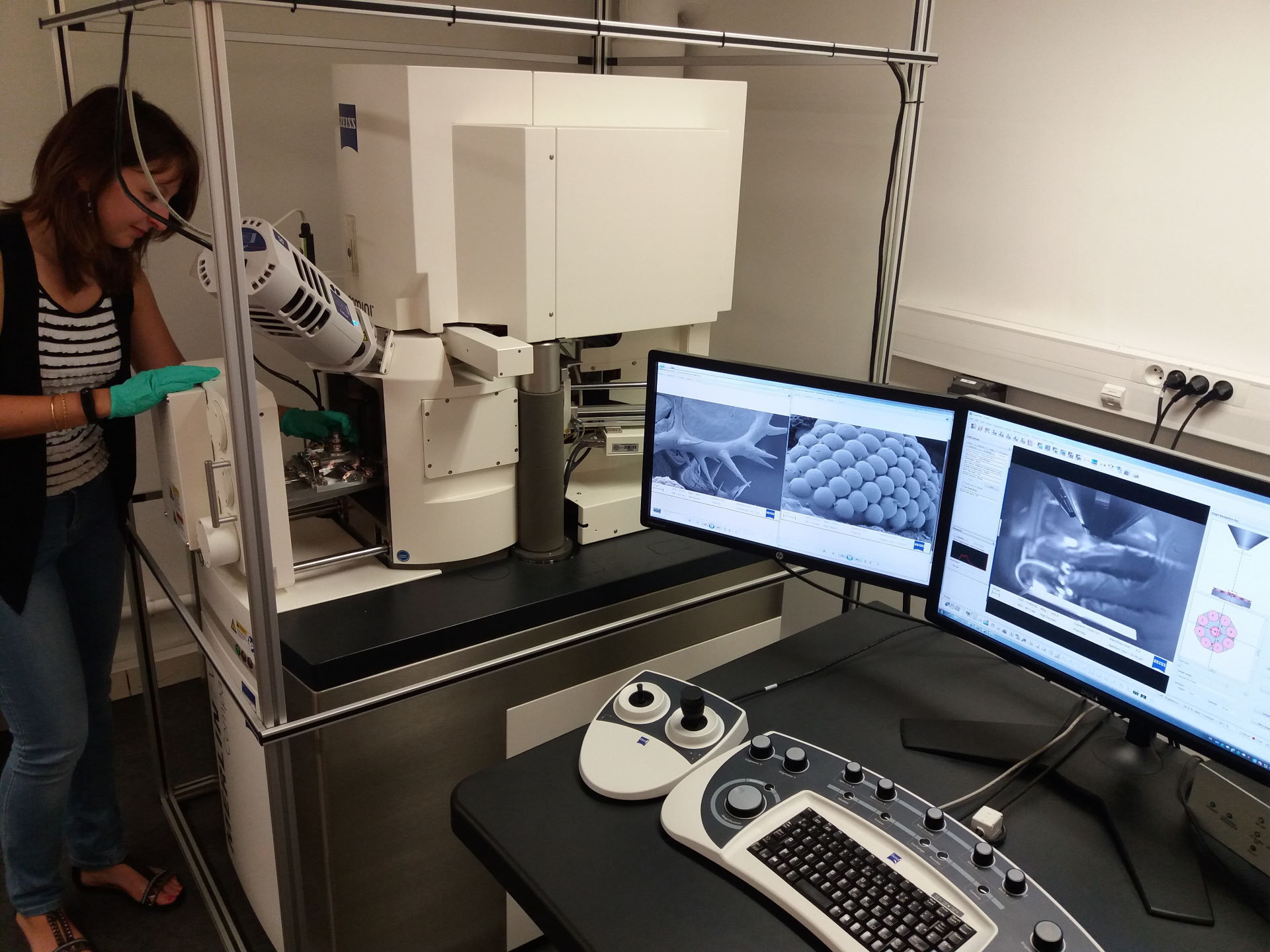 LYMIC: Microscopie électronique